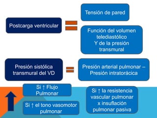 Interacciones corazón-pulmón en el paciente sometido a ventilación ...