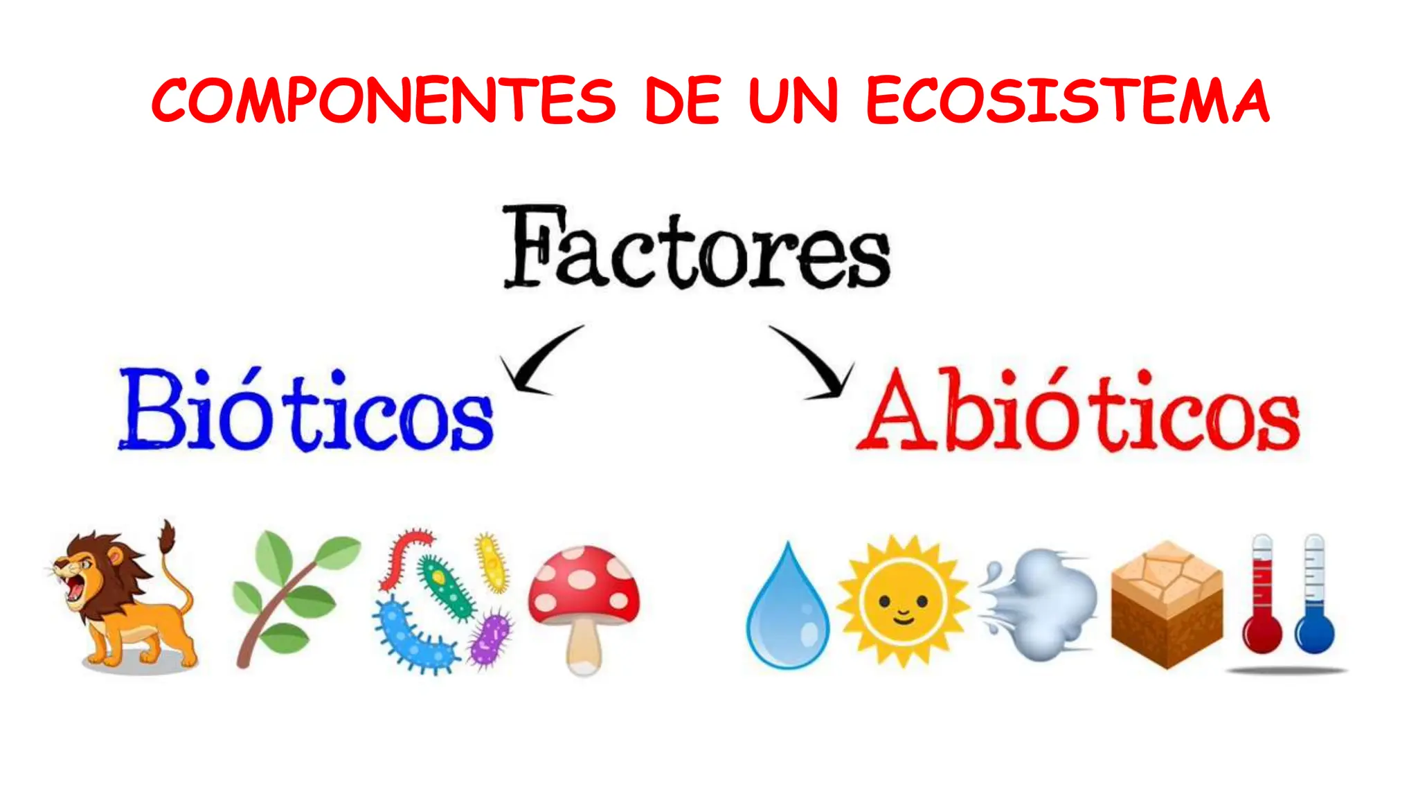 Interacciones de los seres vivos ecología I° medio.pptx
