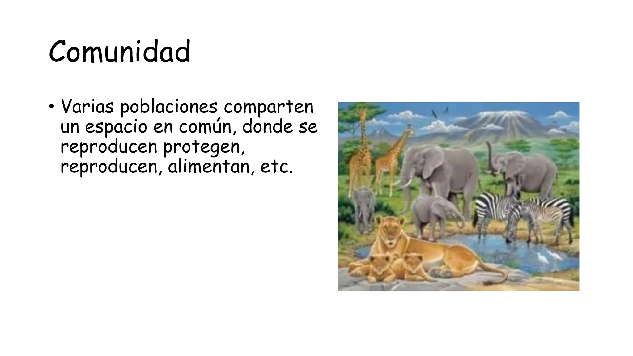 Interacciones de los seres vivos ecología I° medio.pptx