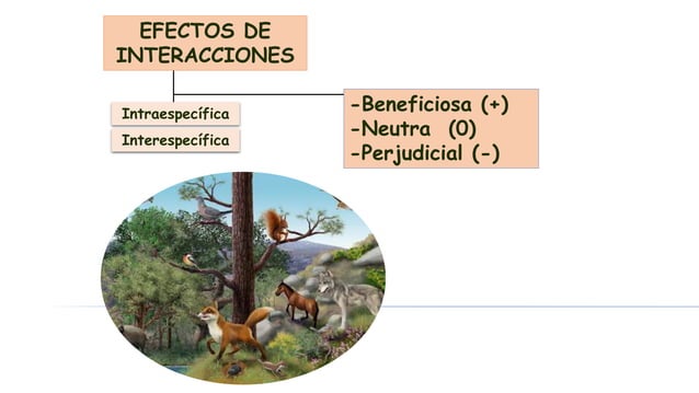 Interacciones de los seres vivos ecología I° medio.pptx