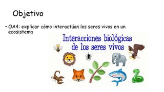 Interacciones de los seres vivos ecología I° medio.pptx