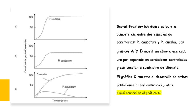Interacciones de los seres vivos ecología I° medio.pptx