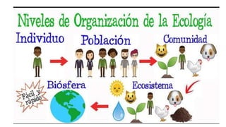 Interacciones de los seres vivos ecología I° medio.pptx