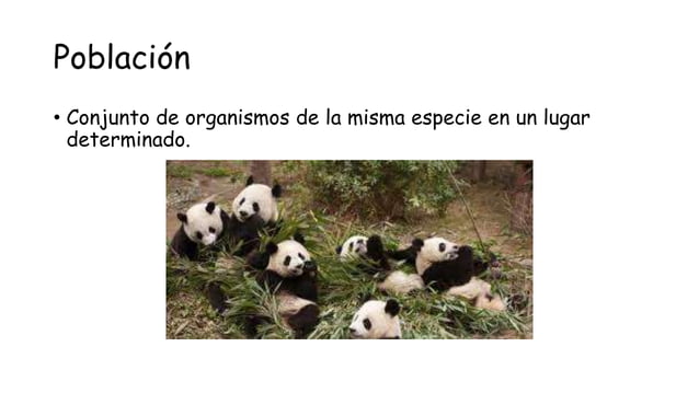 Interacciones de los seres vivos ecología I° medio.pptx