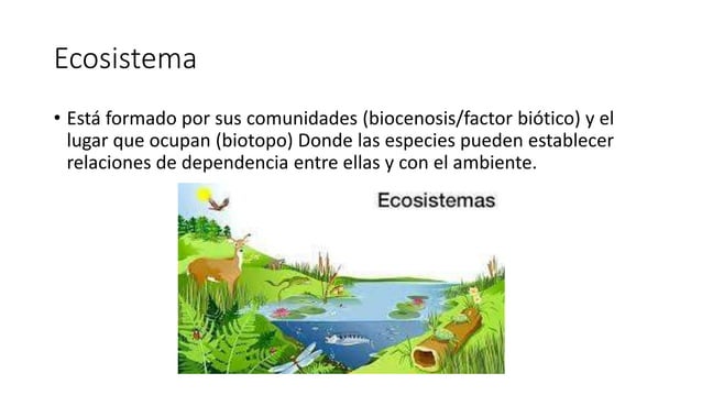 Interacciones de los seres vivos ecología I° medio.pptx