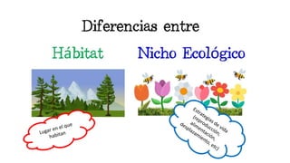 Interacciones de los seres vivos ecología I° medio.pptx