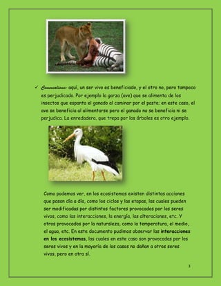 Interacciones Y Ecosistemas