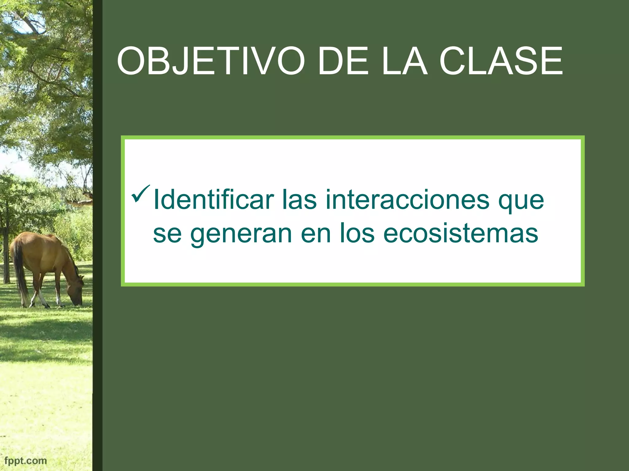Interacciones en los ecosistemas. | PPT