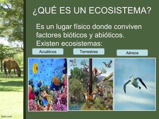 Interacciones en los ecosistemas. | PPT