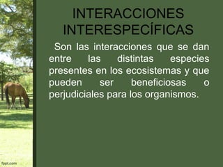 Interacciones en los ecosistemas. | PPT