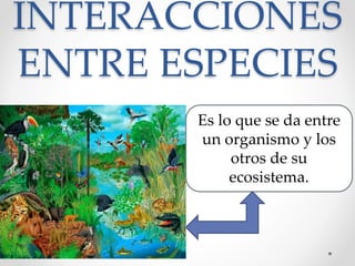 INTERACCIONES ENTRE ESPECIES.pptx