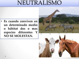 INTERACCIONES ENTRE ESPECIES.pptx
