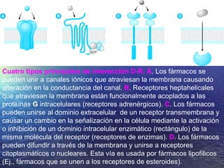 Interacción Fármaco-Receptor | PPT