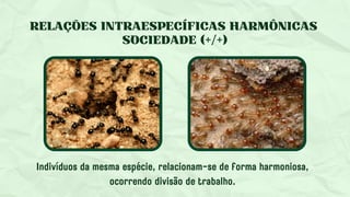 Tipos de Interações Ecologicas no Ambiente | PDF