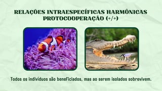 Tipos de Interações Ecologicas no Ambiente | PDF