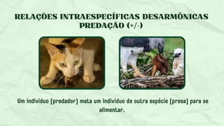 Tipos de Interações Ecologicas no Ambiente | PDF