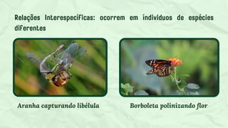 Tipos de Interações Ecologicas no Ambiente | PDF