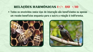 Tipos de Interações Ecologicas no Ambiente | PDF