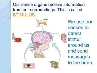 Interaction | PPTX | Eye and Vision Conditions | Diseases and Conditions