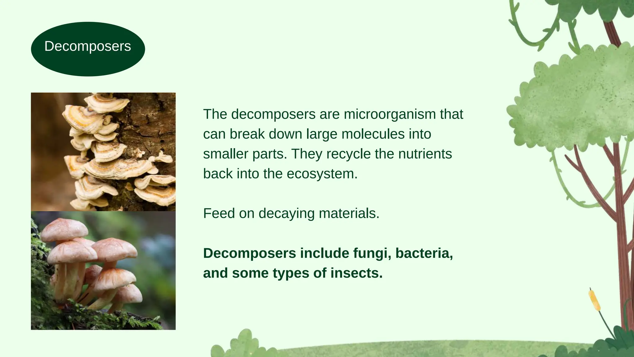 Grade 8 science lesson about Interaction.pptx