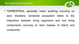 Interaction-and-Interdependence.pAZSaDasdptx | PPTX