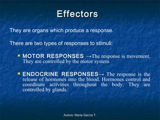Interaction and coordination | PPT