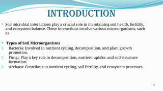 Interaction between diverse microbial population (Overview) BY A ...