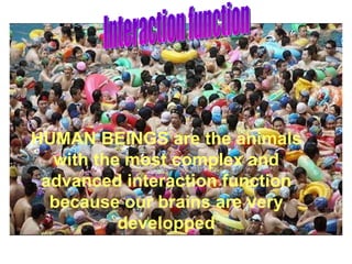 Interaction function | PPT