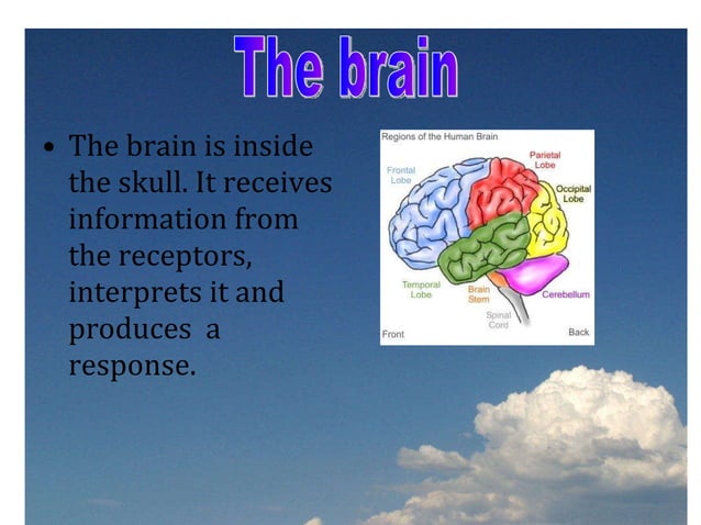 Interaction function | PPT