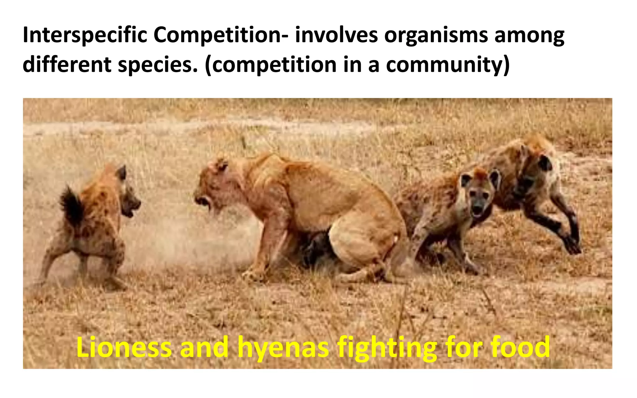 Interaction of Living Things | PPTX