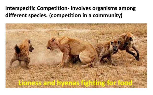 Biological Interaction