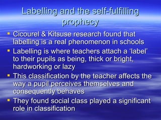 Interactionist Approach To Education | PPT