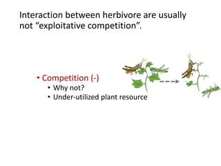 Interaction network of three insect herbivores | PDF