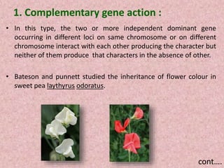 Interaction of genes | PPTX