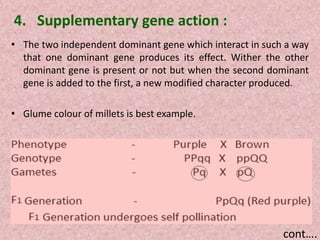 Interaction of genes | PPTX