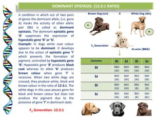 Interaction of genes | PDF