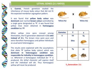 Interaction of genes | PDF
