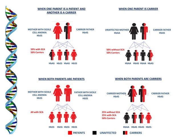 Interaction of genes | PDF