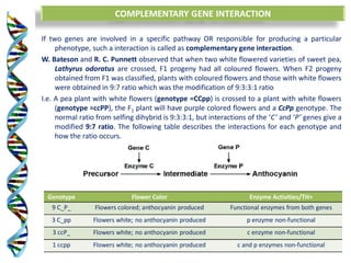 Interaction of genes | PDF