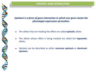 Interaction of genes | PDF