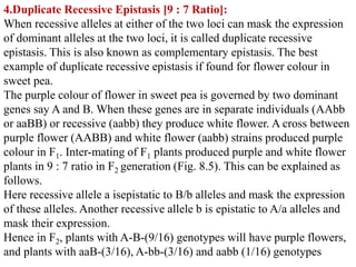 Interaction of genes complimentary, supplementary and epistasis | PPTX