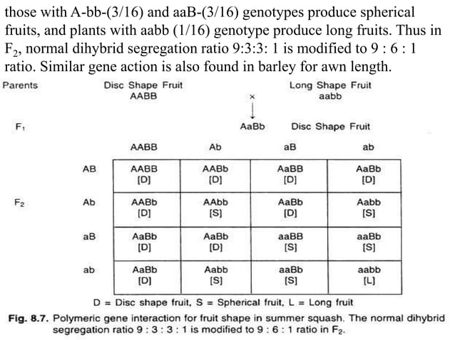 Interaction of genes complimentary, supplementary and epistasis | PPTX