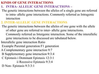 Interaction of genes complimentary, supplementary and epistasis | PPTX