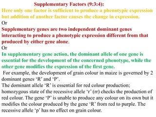 Interaction of genes complimentary, supplementary and epistasis | PPT
