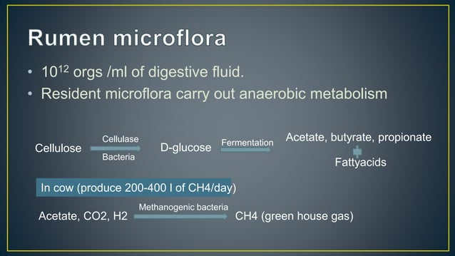 Interaction of microorganisms with Animals.pptx | Biological Sciences | Science