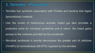 Interaction of microorganisms with Insects.pptx