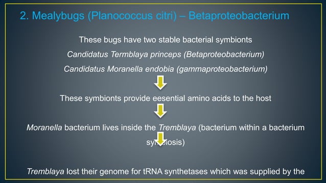 Interaction of microorganisms with Insects.pptx