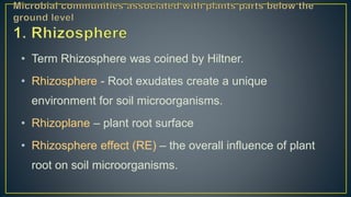 Interaction of microorganisms with vascular plants.pptx
