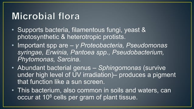 Interaction of microorganisms with vascular plants.pptx