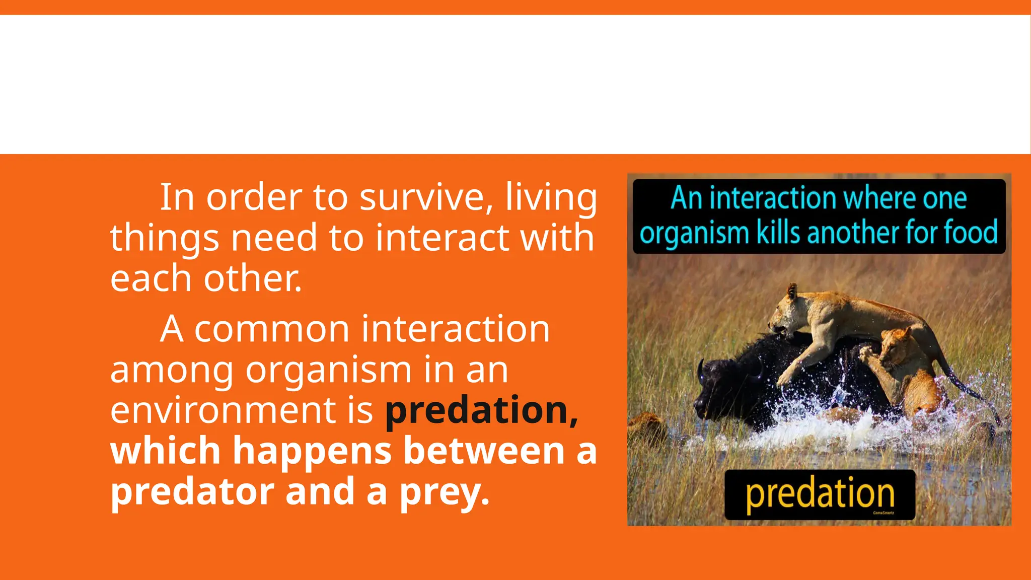 INTERACTIOn of plants and animals in the environment.pptx